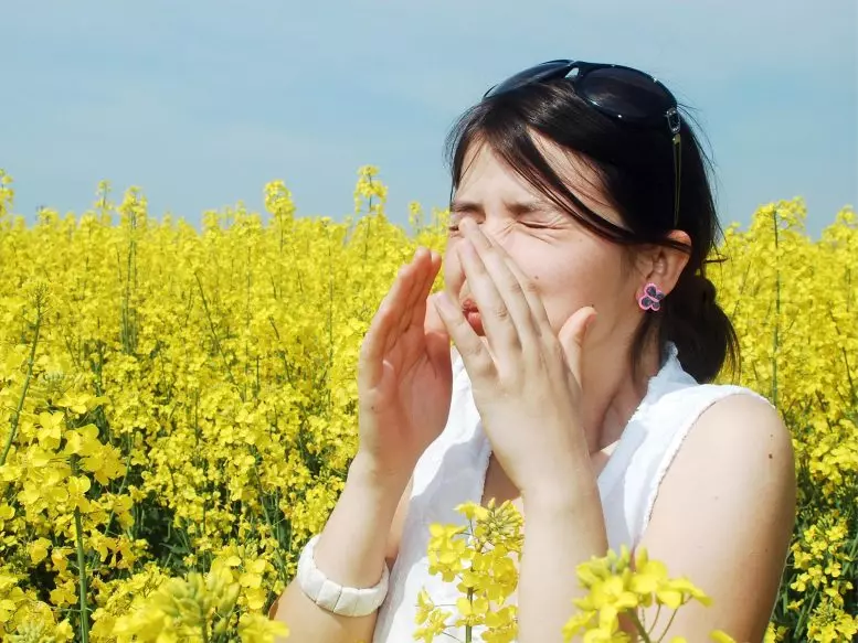 Alerxias ao polen Febre do feno