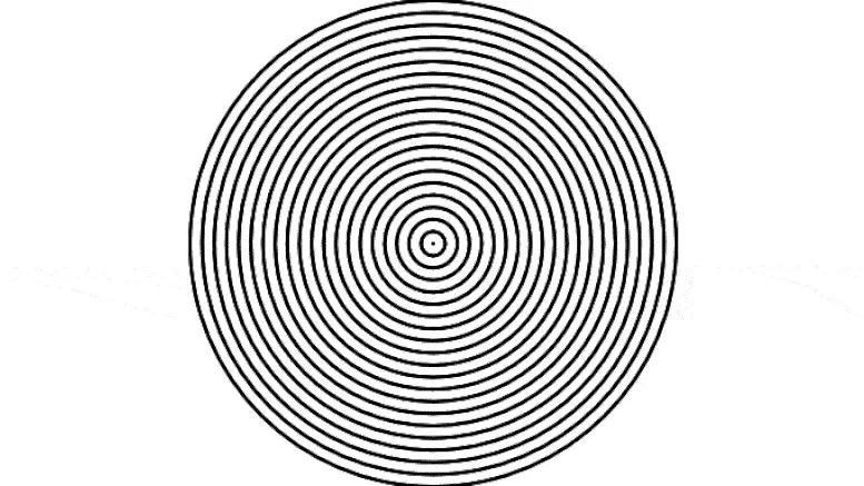 Moiré Concentric Circles