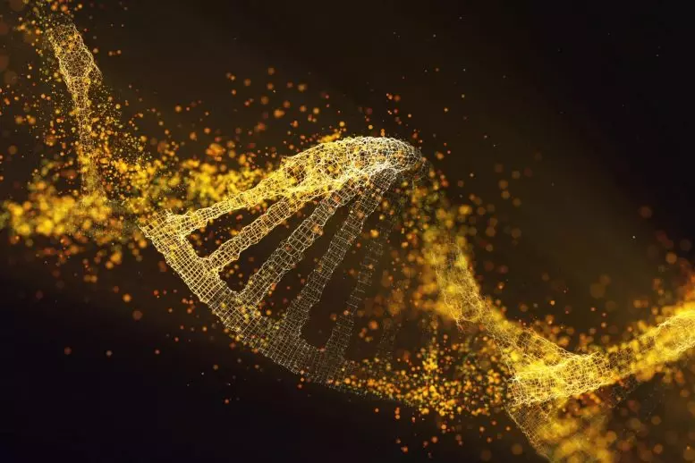 DNA بد مفهوم پیری را تغییر می دهد
