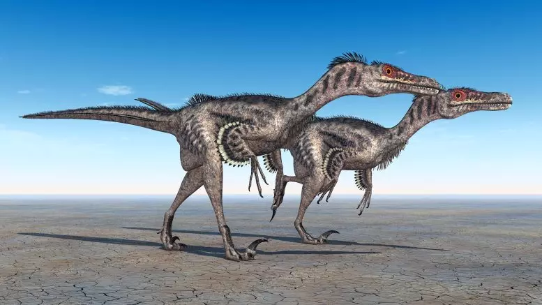 Peří velociraptorů