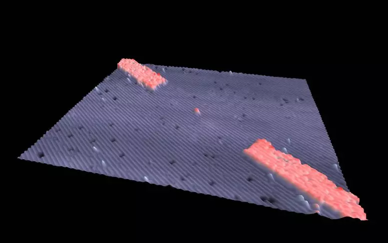 Single Atom Transistor