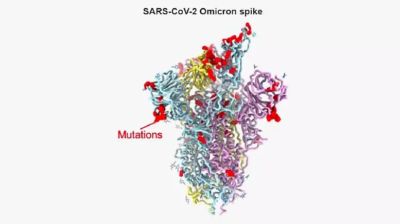SARS-CoV-2 오미크론 스파이크 단백질 모델