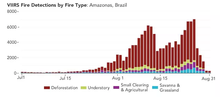 Tűztípus diagram Amazonas Brazília