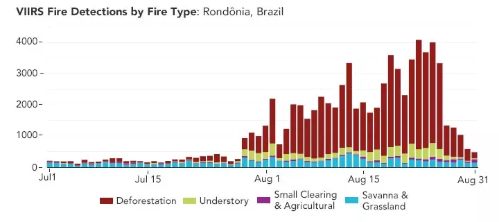 Grafico del tipo di fuoco Rondonia Brasile