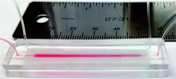 microfluidic ڊوائيس سرطان ۽ ٻين بيمارين جي تشخيص ۽ نگراني ڪرڻ لاء استعمال ٿي سگهي ٿي