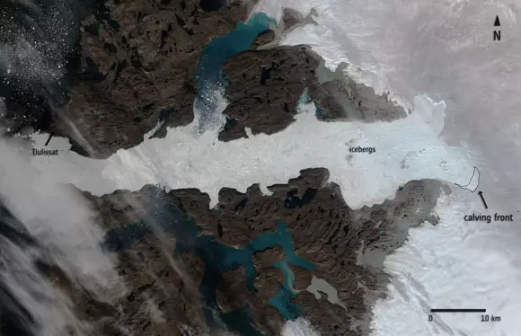 Optična slika ledenika Jakobshavn v zahodni Grenlandiji prikazuje množično telitev