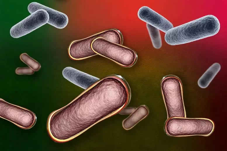 Coating foar mikroben om gastrointestinale sykte te behanneljen