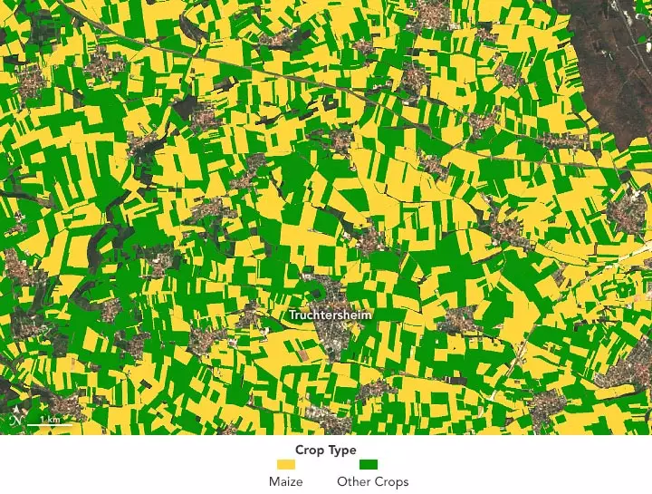 Ground Truth Crops geannoteerd