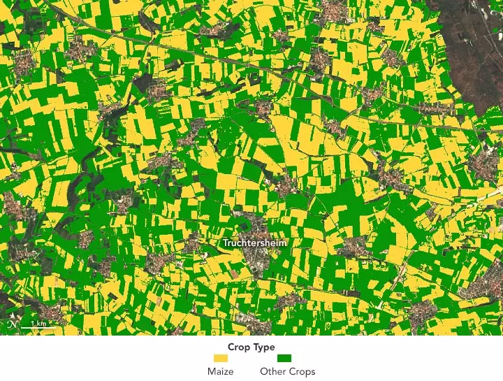 GEDI Crops Annotated