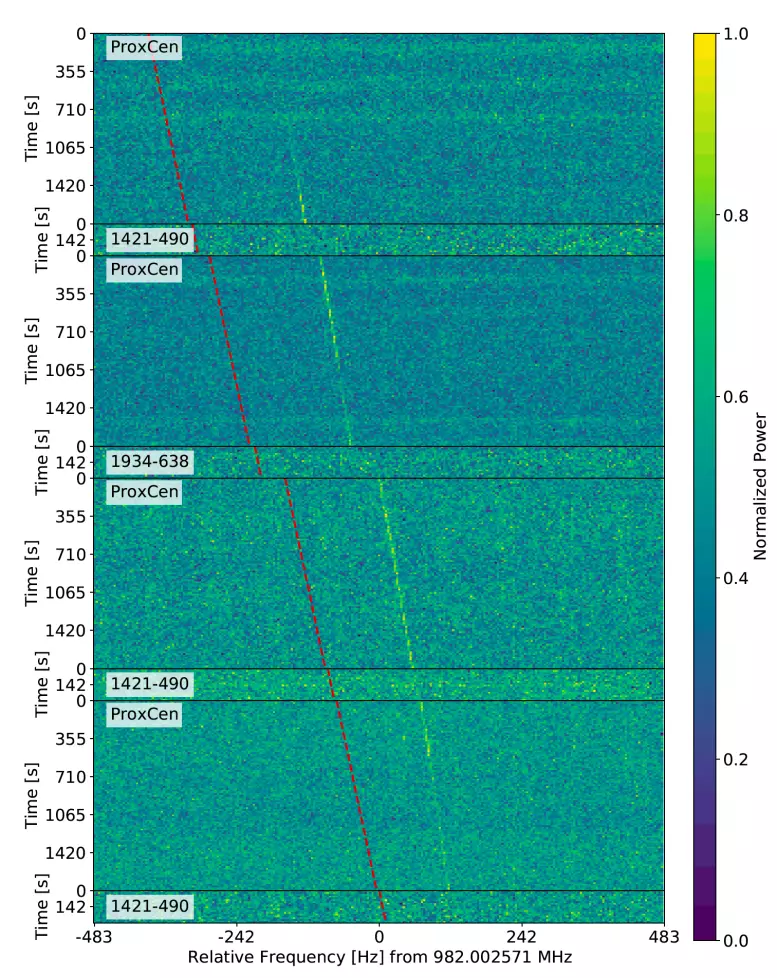 BLC1-Signal