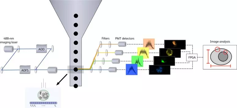 CellView Image Technology סכמטי