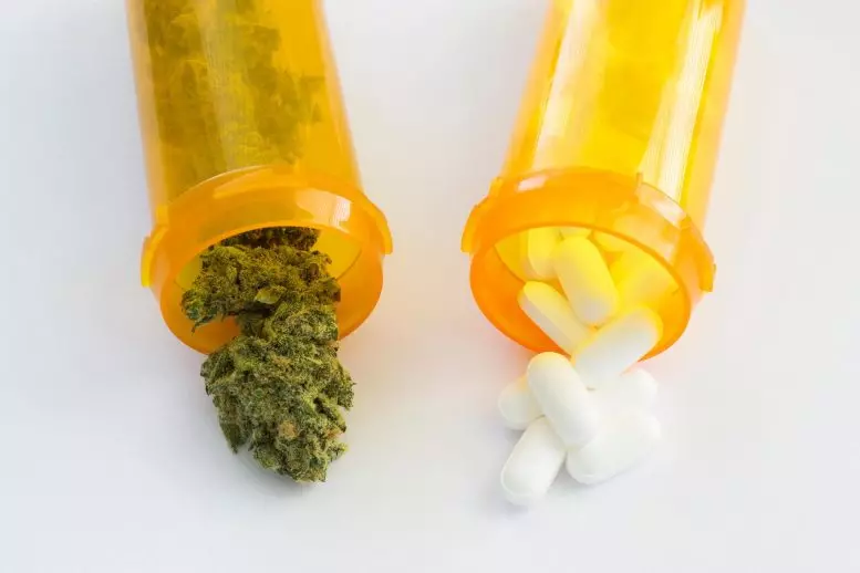 Cannabis eta sendagai pilulak