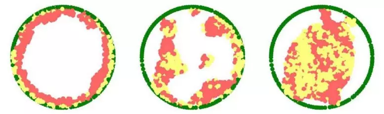 3D Chromatin Simulaasjes