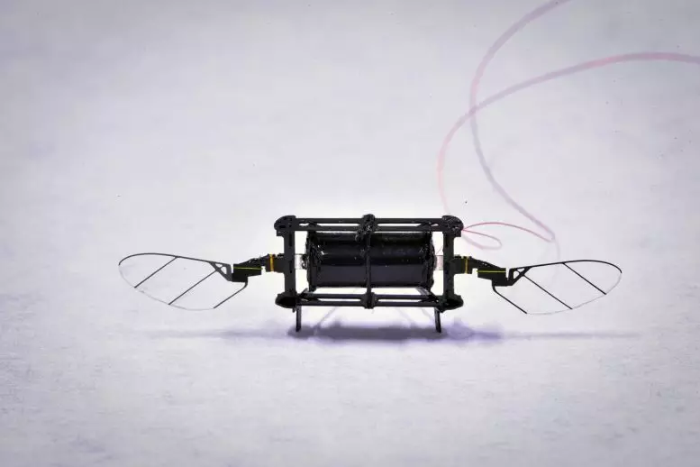 Aerial Hovering Microrobot