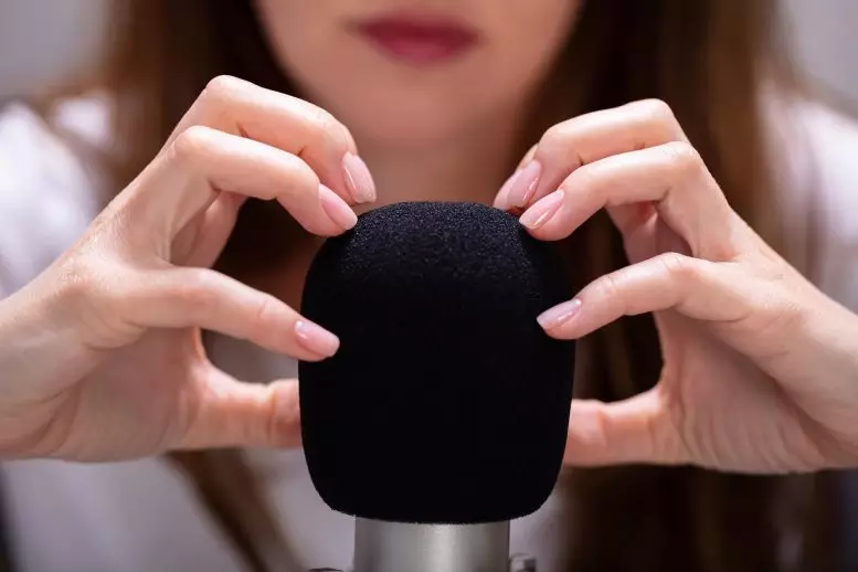 Fao Fao Microphone ASMR