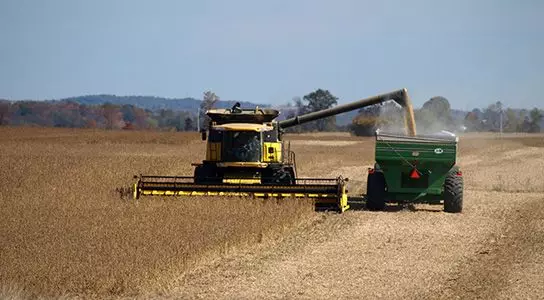 Забруднення наночастинками впливає на ріст культур 2818_1