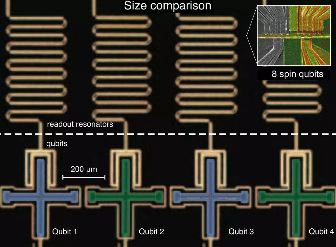 Spin Qubit iyo Isbarbardhigga Qubit Superconducting