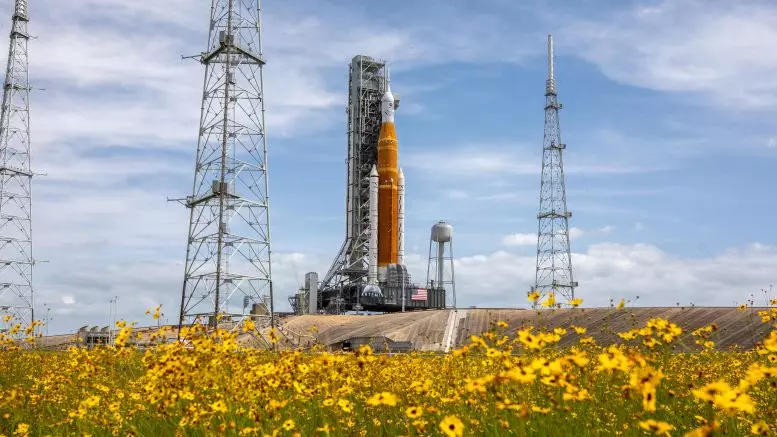 Artemis I la Pad 39B Wildflowers