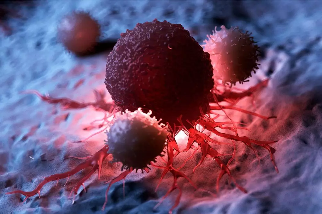 Bijele krvne stanice napadaju rak