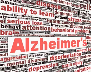 A D3-vitamin és az omega-3-zsírsavak segíthetnek az Alzheimer-kór elleni küzdelemben