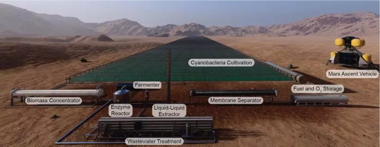 Photobioreactors Mars