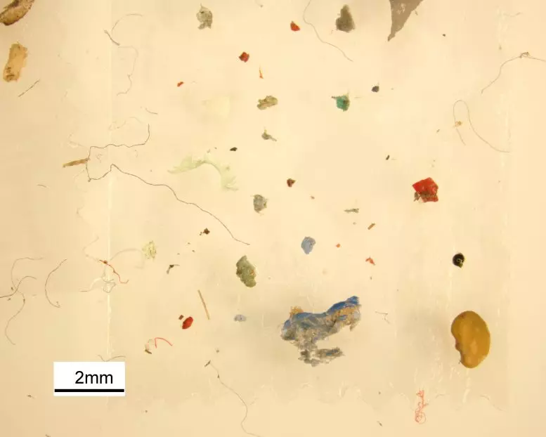 Microplastics Analysed