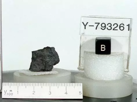 Y 793261 meteorito primitiboa