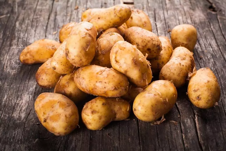 Raw Potatoes