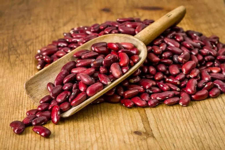 Mbishi Kidney Beans