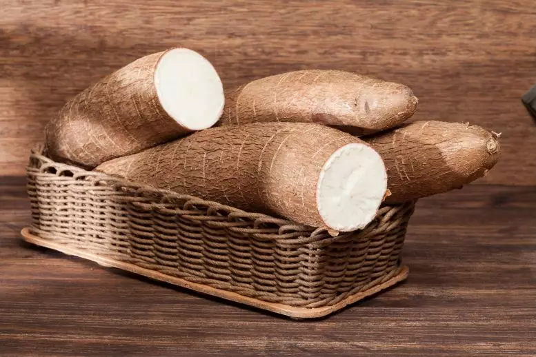 Raw Cassava