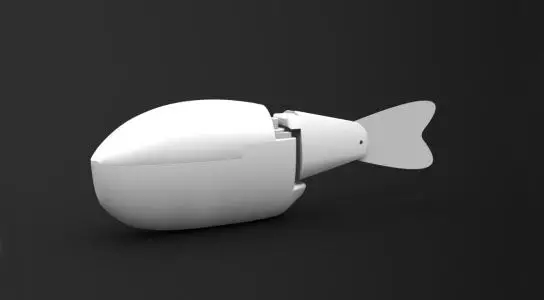 Biomimetické robotické ryby