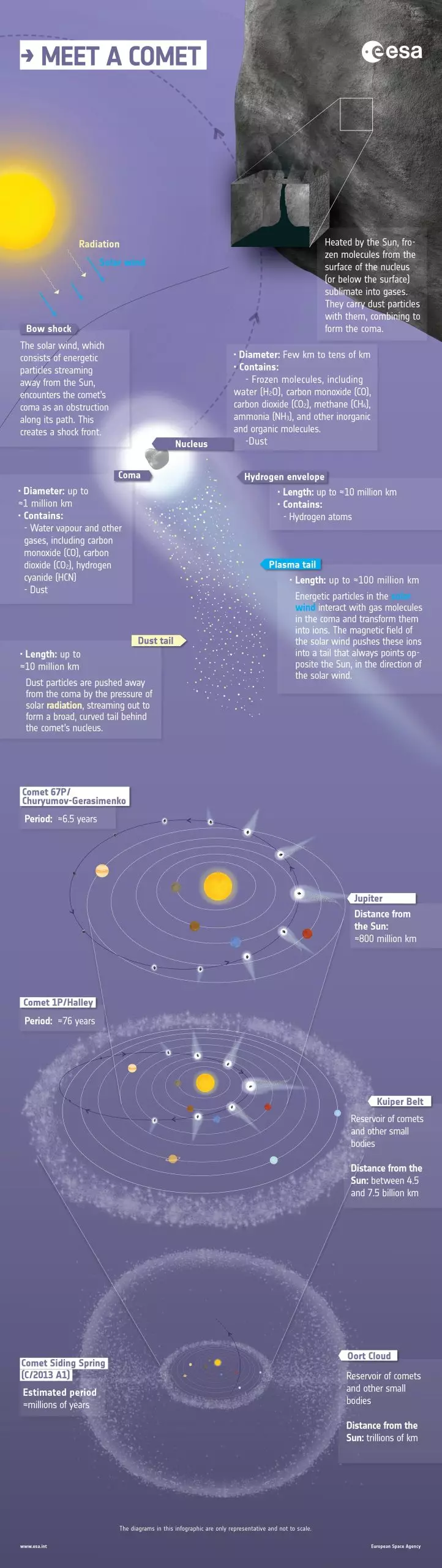 Kilalanin ang isang Comet Anatomy Infographic