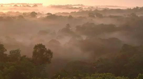 아마존에서 에어로졸 입자가 형성되는 방법