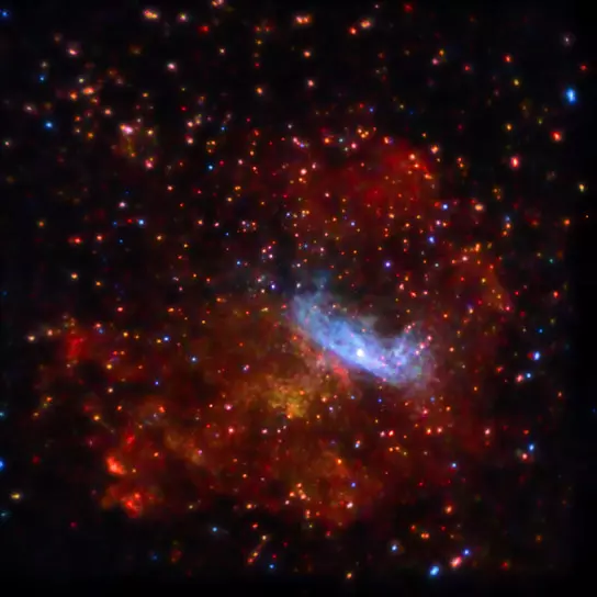 Chandra Imaj rès Supernova MSH 11-62