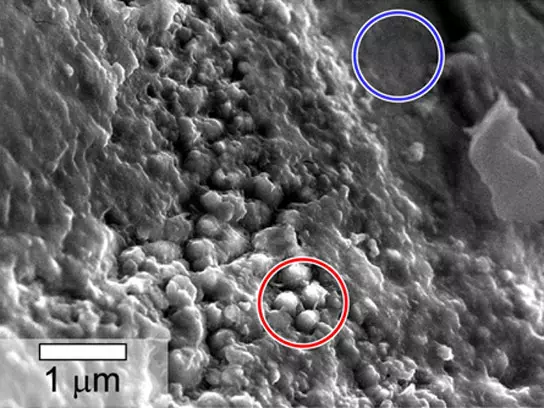 Els científics descobreixen proves d'aigua al meteorit marcià