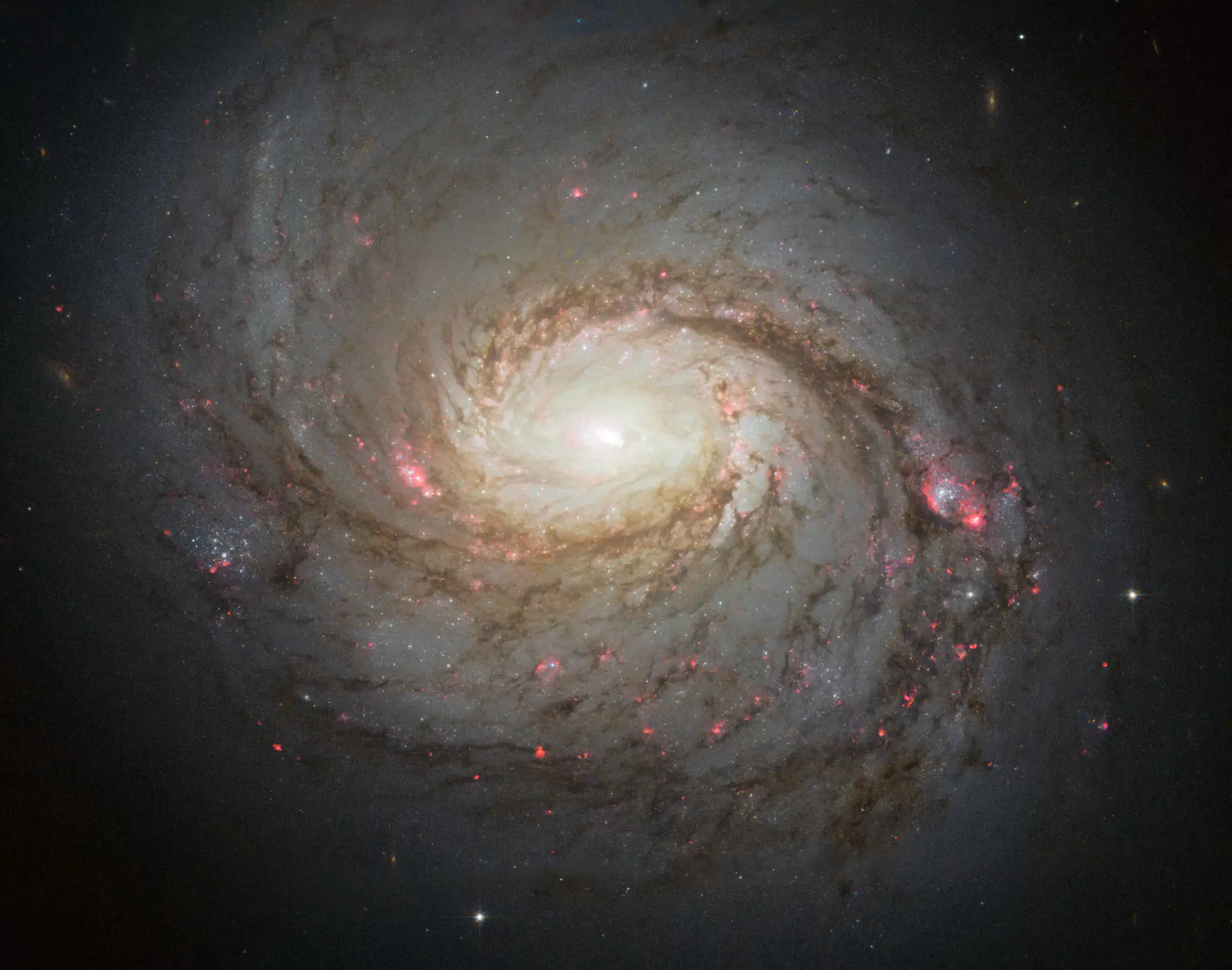 A Hubble a Messier 77 spirálgalaxis rejtett mélységeit látja