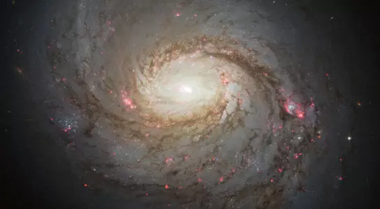 Gambar Teleskop Angkasa Hubble tina Spiral Galaxy Messier 77