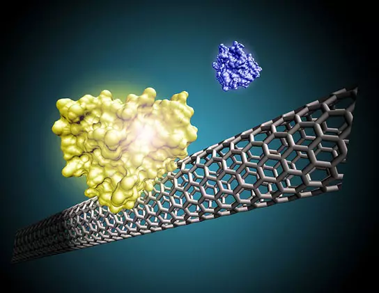 Sensor nanotube