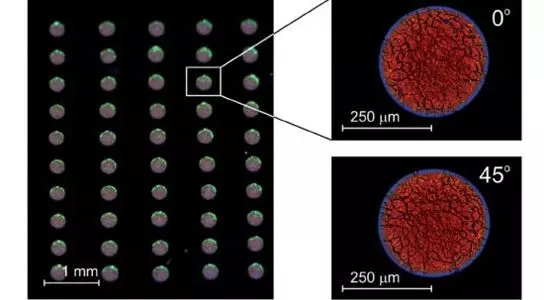 Inkjet-Printable LC Lasers جي ترقي 3612_1