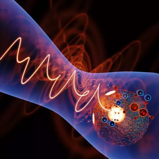 Nanoparticle katika Uga wa Mpigo wa Laser wa Femtosecond Na Uundaji wa Mawimbi Uliolengwa na Polarization