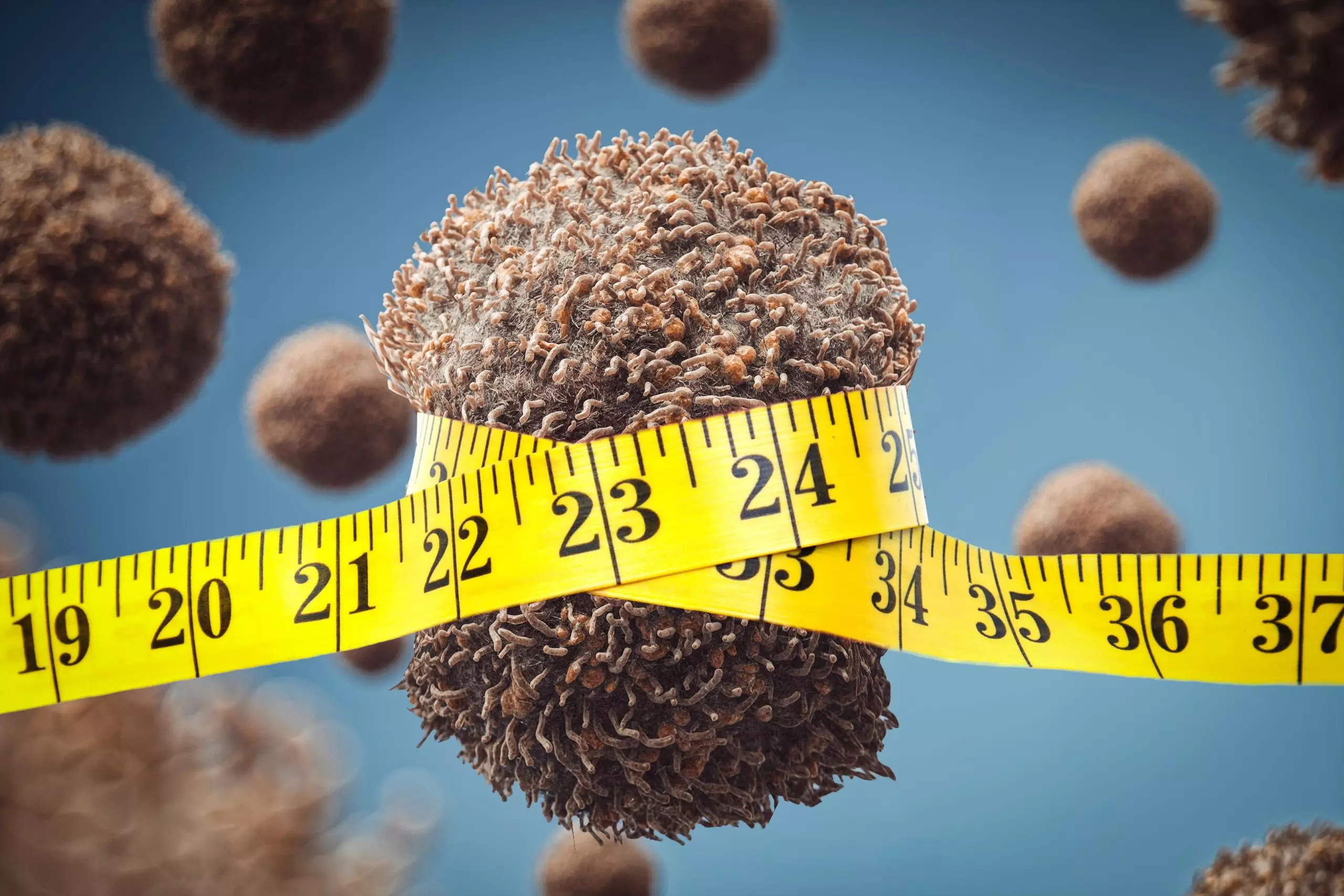 Wat Dir iesst beaflosst Tumoren: Diät kann de Kriibswachstum verlangsamen