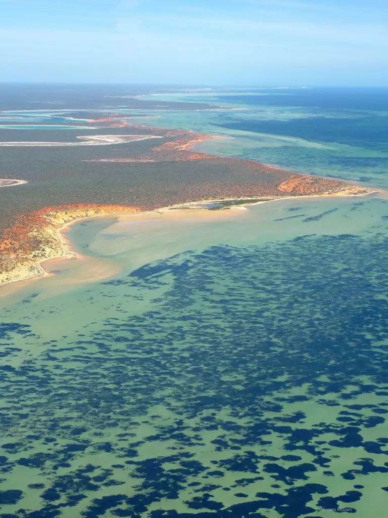 Shark Bay Australia Occidental