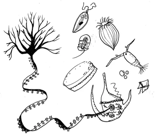 RNA virusi v oceanih