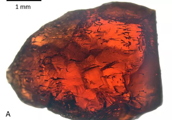 Зерттеушілер кристалдардағы кішкентай қызықсыз микроорганизмдерді тапты