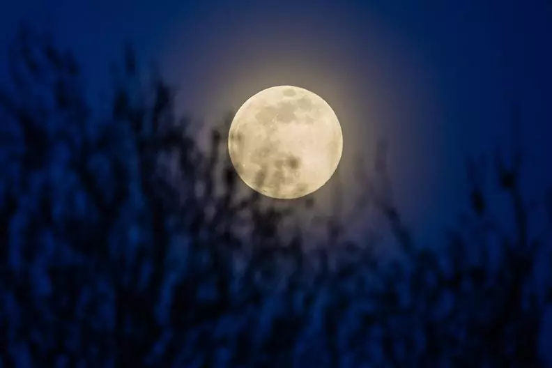 Bulan Purnama Merah Jambu