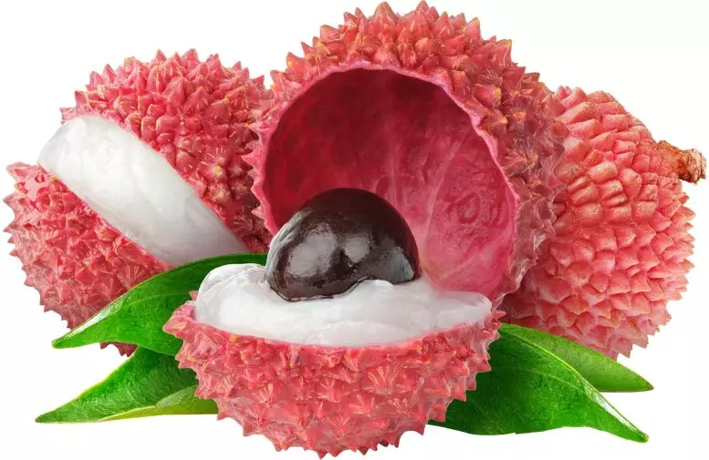 Lychee Genome ivuga inkuru y'amabara kubyerekeye imbuto za kera zo mu turere dushyuha 40113_1