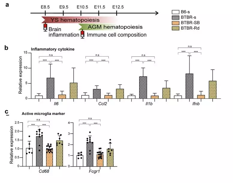 Inhibitors Embryonic