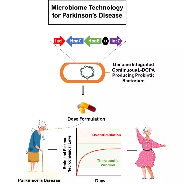 Microbiome Based Therapeutic mo le ma'i o Parkinson