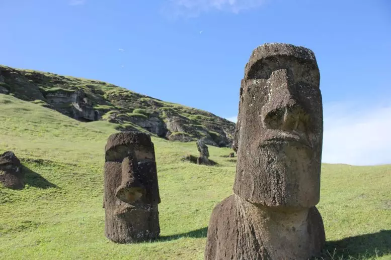 Umbutho we-Easter Island usenokungawa