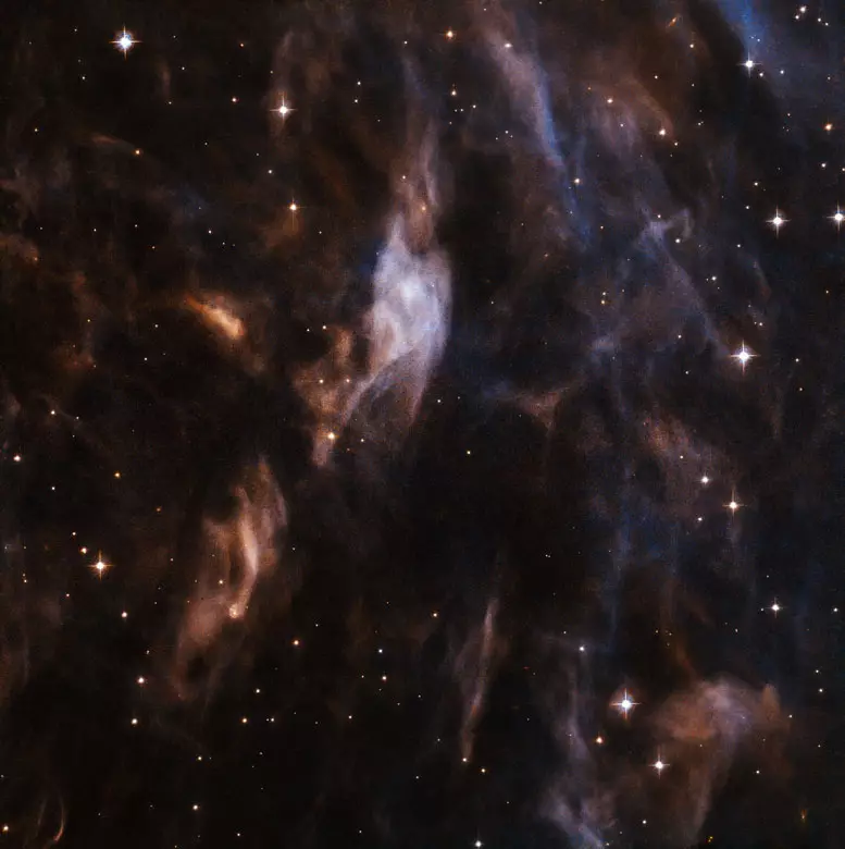 Hubble Views Nebula Sh2-308 Bintang Sekeliling EZ Canis Majoris